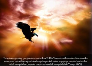 Pelajaran dari Rajawali: Terbang Tinggi Melawan Angin